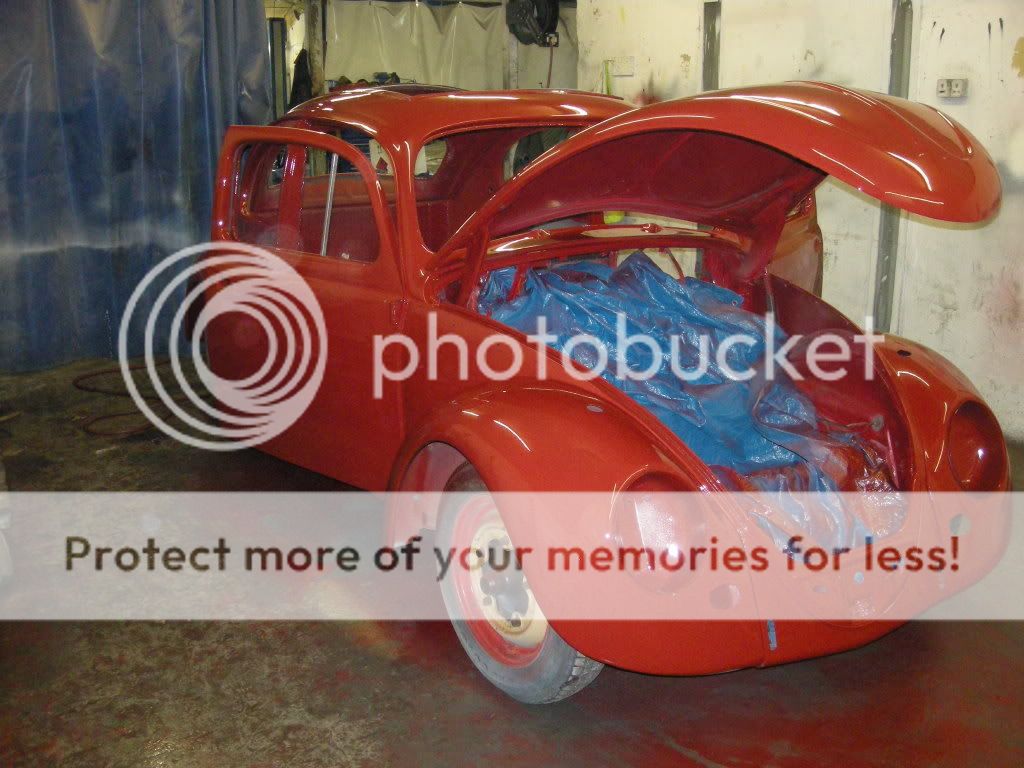 any pics of Ruby red bugs???? | Page 2 | Volkszone Forum